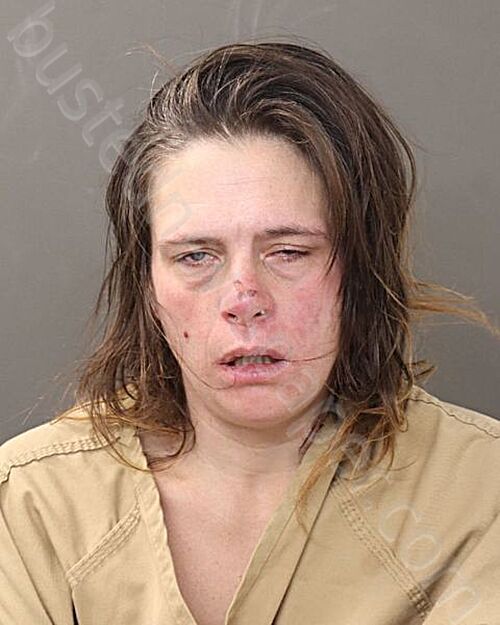 Dingess, Rose Ann Nicole | 2026-01-30 22:14:00 Franklin County, Ohio ...