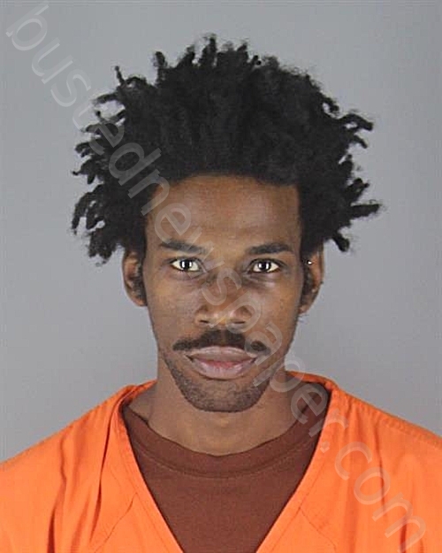 Maurival, Peter Joseph | 2026-01-30 12:25:08 Hennepin County, Minnesota ...