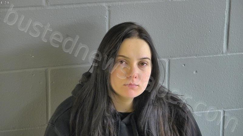 Cormier, Kate A | 2026-02-01 03:08:23 Levy County, Florida Booking