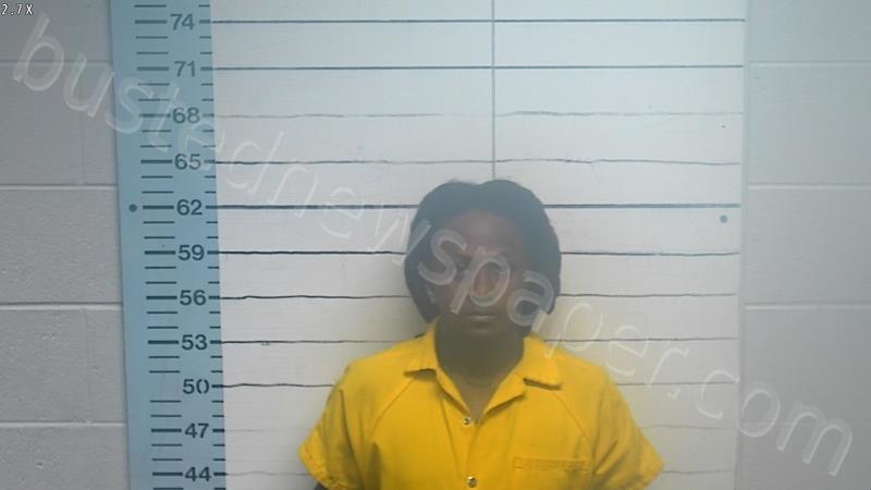 Gibbs, Sheldon Nigel | 2026-02-01 20:33:00 Desoto County, Mississippi ...